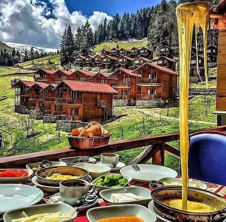 Doğal çAm Ağaçları Ile çEvrili çImende Bir Ev - Maçka