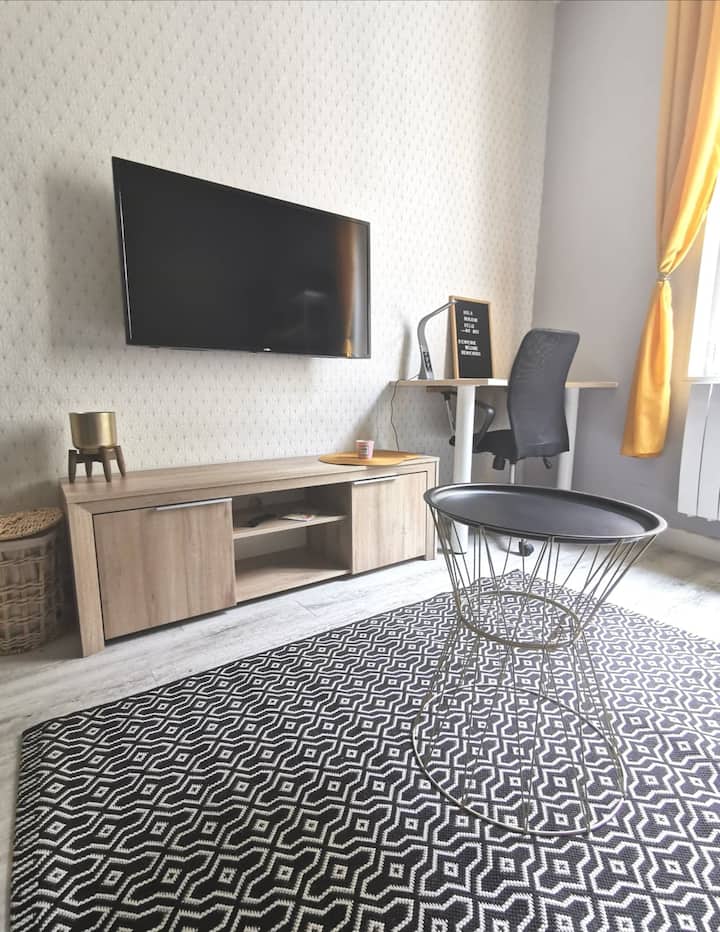 ★ Bed I Home★studio Hypercentre ★ Wifi ★ Netflix ★ - Angers
