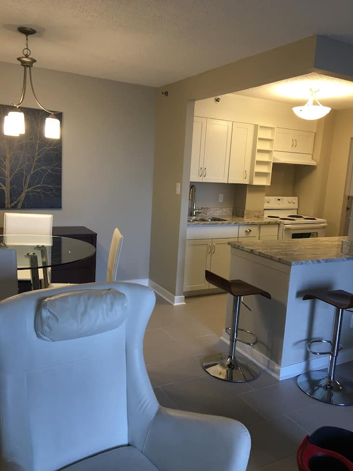 Executive Living In Downtown With Amazing Views - Saskatoon