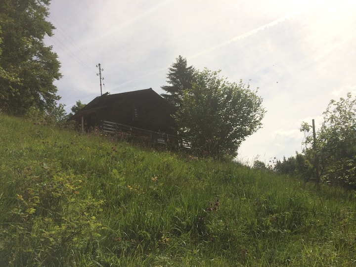 Namdak Chalet Cosy Et Paradis Nature - Gryon