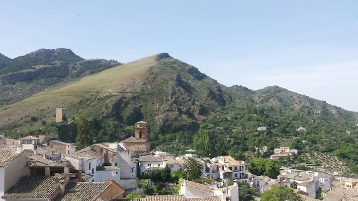Kaktushouse - Cazorla