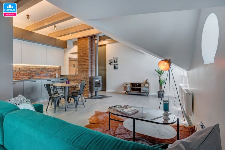 Domillion Pylimo Penthouse Duplex Apt. 15ppl. P36d - Vilna