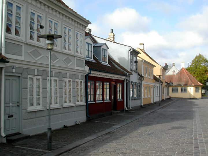 House Just Next To House Where H.c. Andersen Lived - Odense