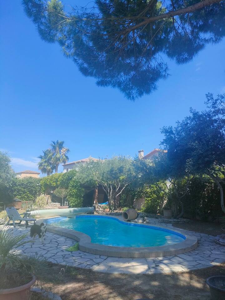 Chambre Dans Villa Avec Piscine - Baillargues