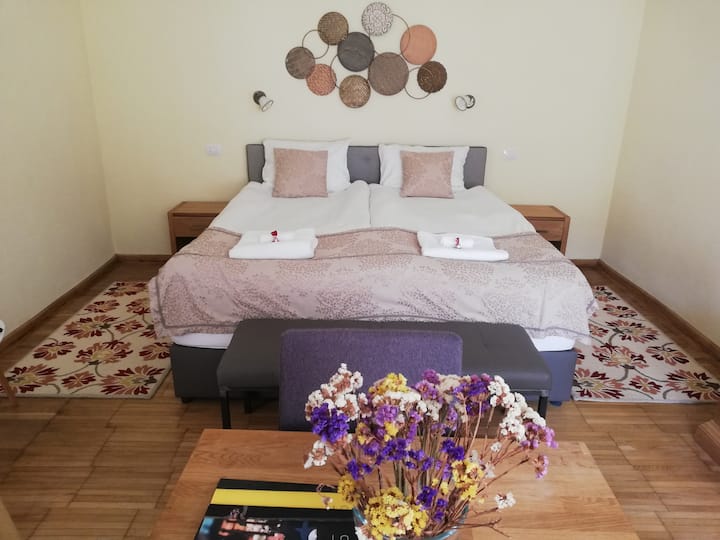 Didi's Apartment - Sibiu