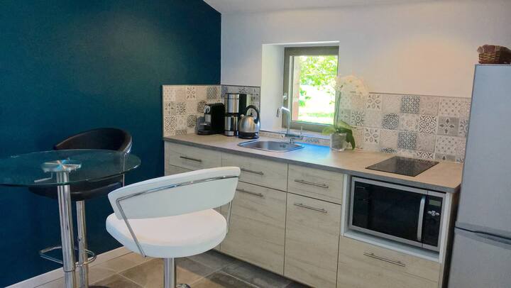 Appartement Dans Propriété Lauragaise - Nailloux