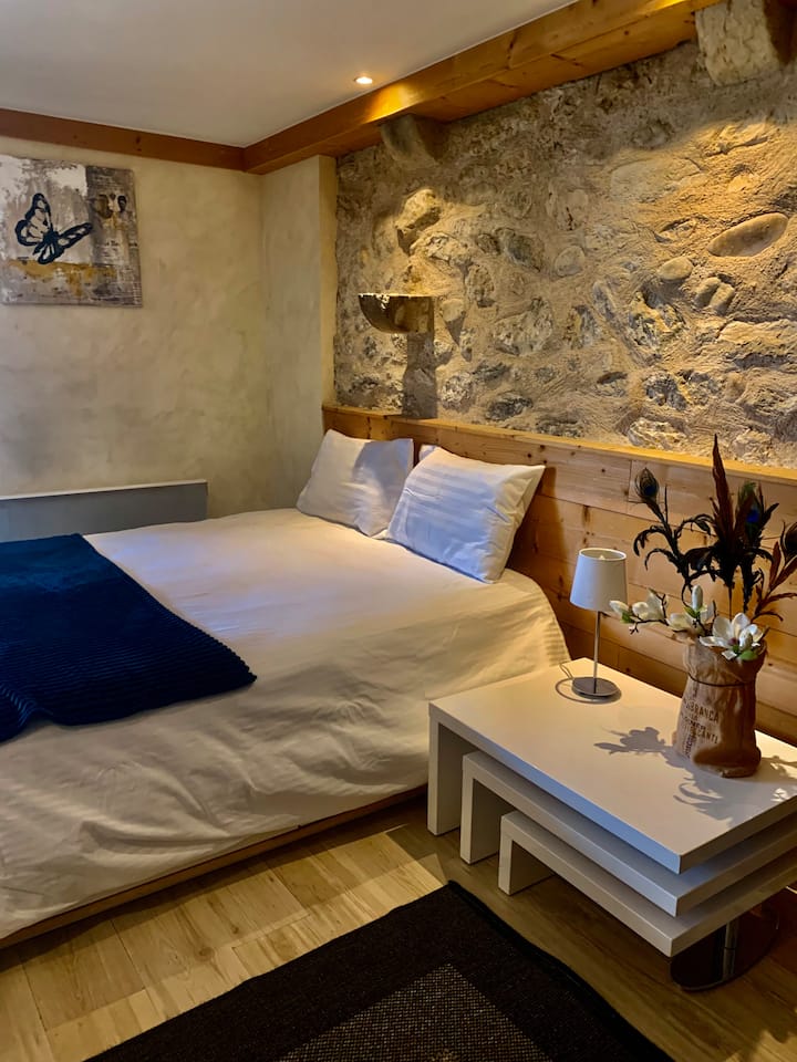 Studio à St-jean-de-gonville Proche De Genève/cern - Saint-Genis-Pouilly