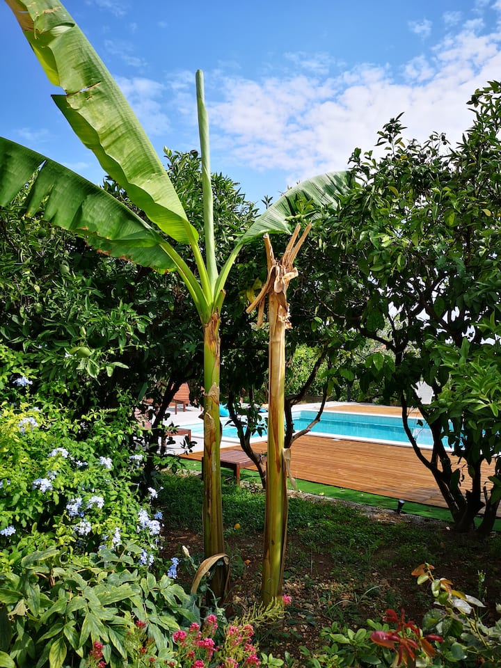 Comfortable Apartment Near The Sea - Croatia