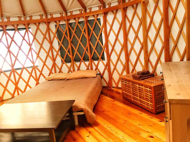 Top 2 Yurts Near Tofino, Canada - Updated 2025 | Trip101