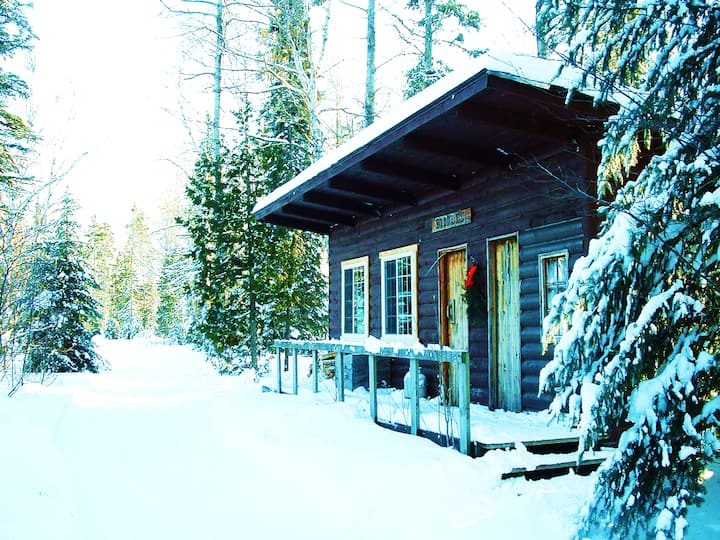 "Biddles" Hike Out The Door At  Bally Creek Cabins - Cascade River State Park, Lutsen
