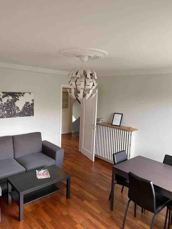 Beautiful Apartment Downtown Reykjavík - Reykjavik