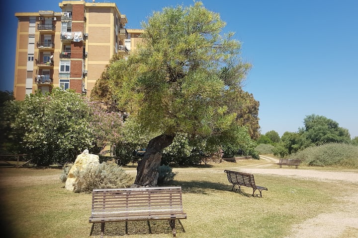 Sole Apartment Q1189
Cin It092009c2000q1189 - Cagliari