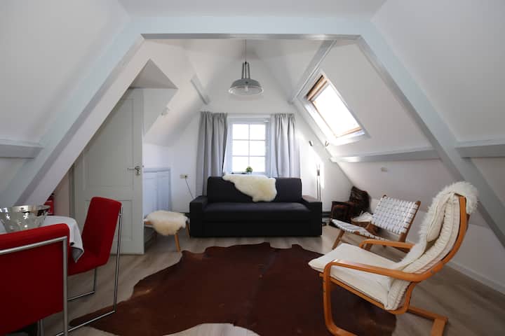 Beautiful Loft Close To Amsterdam/zaanse Schans. - Zaandam
