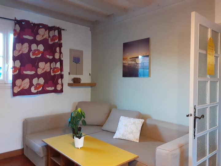 Maison Rustique Et Colorée D'artiste Peintre - Barbâtre