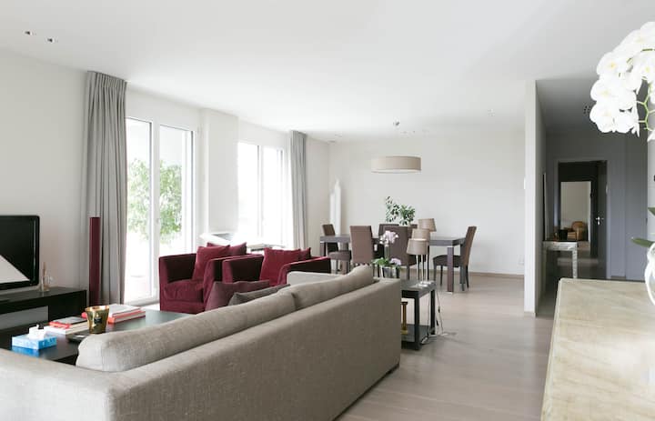 Penthouse With Parking And Terrace - Saint-Julien-en-Genevois