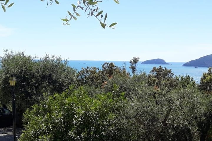 Piccolo Sogno Nel Blu (Citra Code: 011016-lt-0009) - Lerici