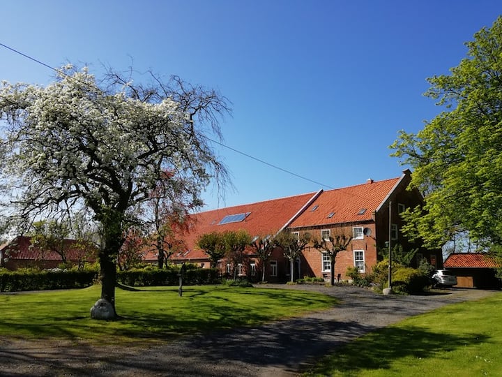 Lüttje Auszeit - Baltrum