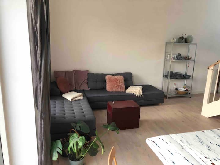 Dejligt Hus I øKologisk Landsby - Denmark
