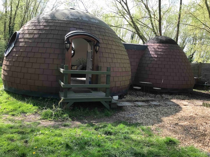 Downham Market- Dome - The Hive - Cambridgeshire