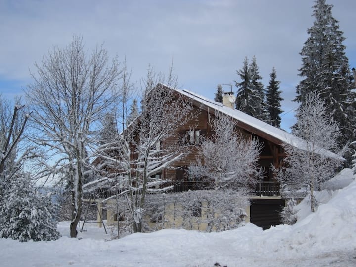 Ski, Spa, Sauna, Chalet Au Collet D'allevard - Allevard
