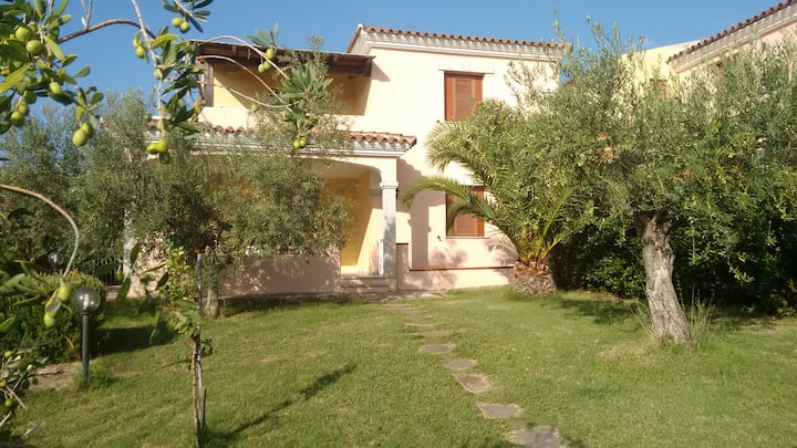 Budoni. Villetta Con Giardino - Budoni