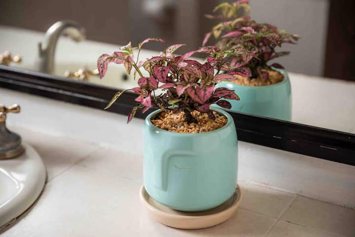 Departamento, Check In Automático Con Cochera. - Oaxaca de Juárez