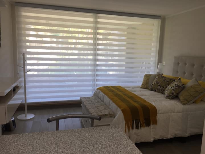 Apartamento Estudio Pucón - Pucón