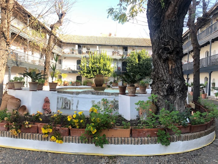 Apartamento En El Centro De Sevilla Espectacular - Séville