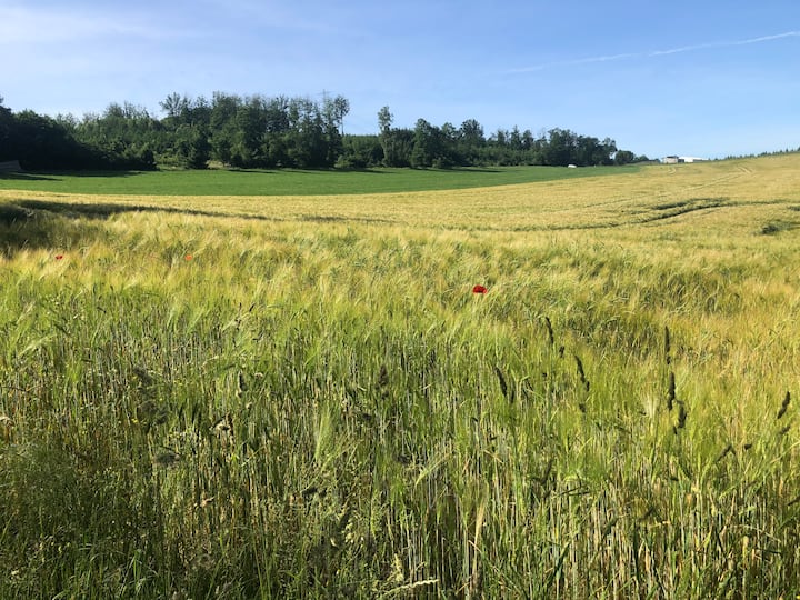 Entspannt Im Sauerland - Arnsberg