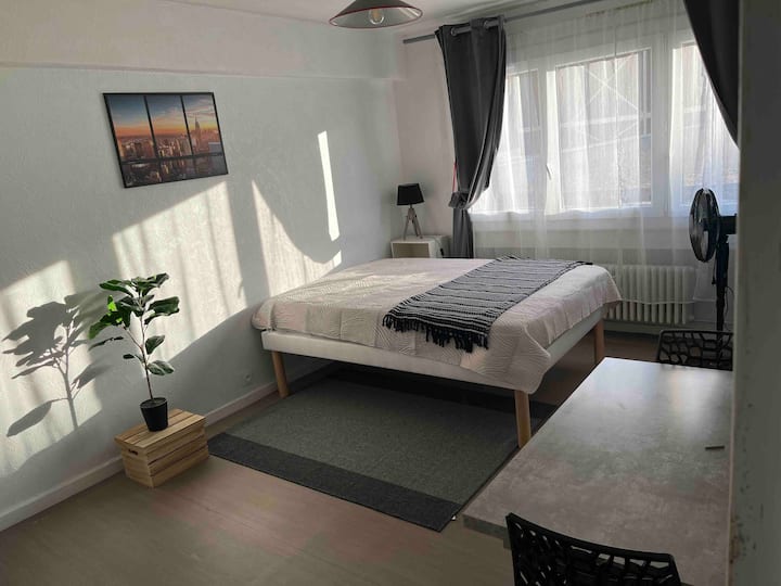 Studio Avec Parking Gratuit Dans Rues Avoisinantes - Saint-Étienne