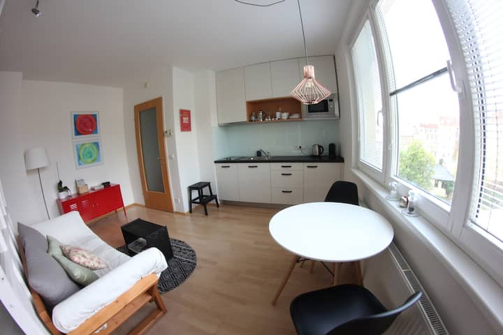 Central Bright Studio W/garage Parking - Prága