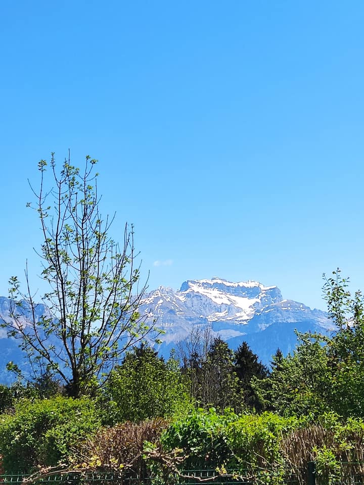Maison Entre Lac Et Montagne Vue Tournette 5 Pers. - Sévrier