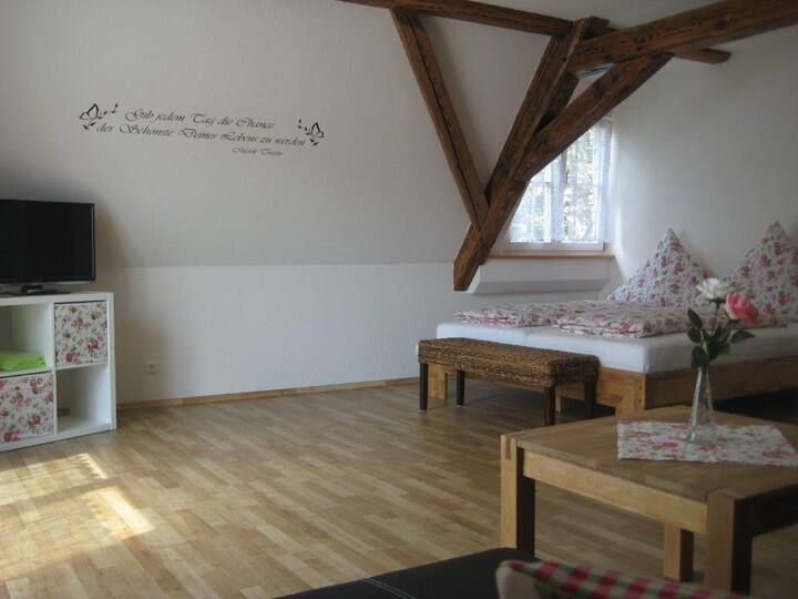 Appartement Rosenzauber, 50qm (Haus Gartentraum) - Eibelstadt