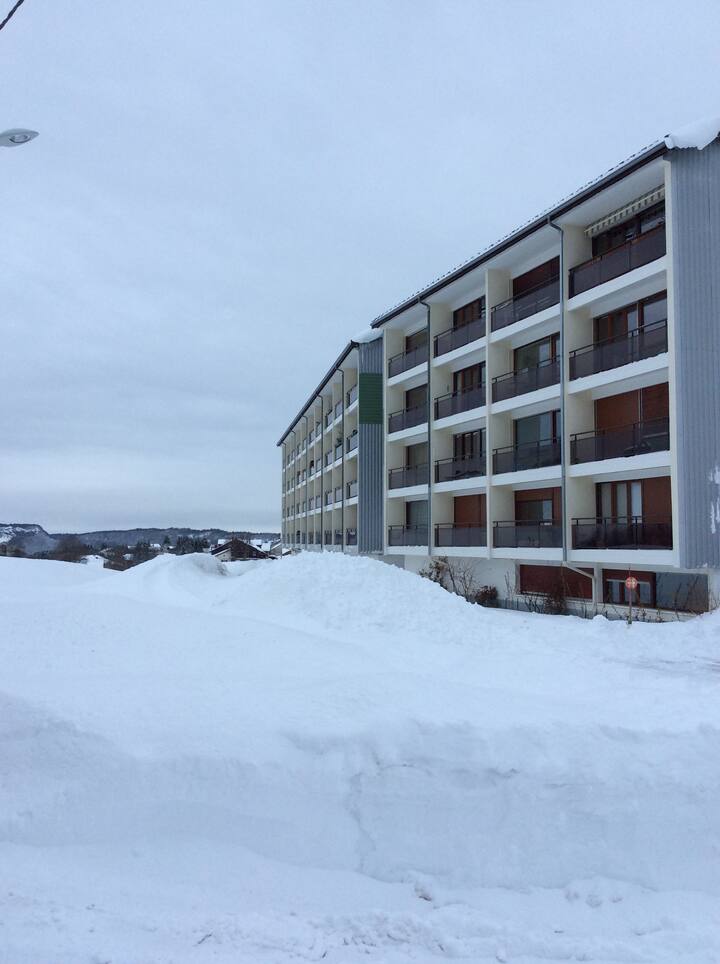 Les Rousses - Appartement En Location - Prémanon