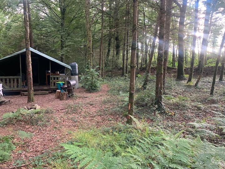 Restful Retreat – Camp One - Leinster