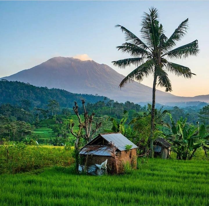 Natural House Sidemen Bali With 2 Bed Room Mount V - Sidemen