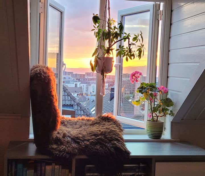 Toppleilighet I Hjertet Av Byen! - Trondheim