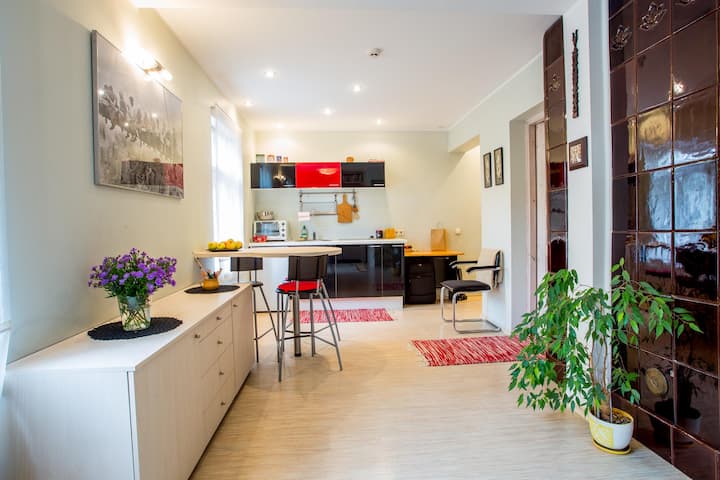 Cozy Flat In The City Centre - Tallinn