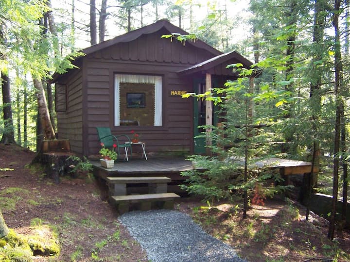 Adirondack Cabin For 2 Lake Access + Pet Friendly - Saranac Lake, NY