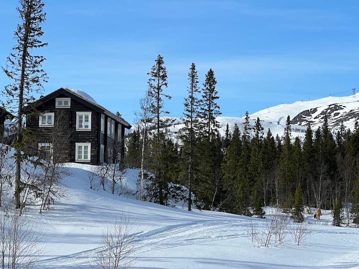 Stor Og Eksklusiv Hytte Sentralt I ÅRebjörnen - Åre