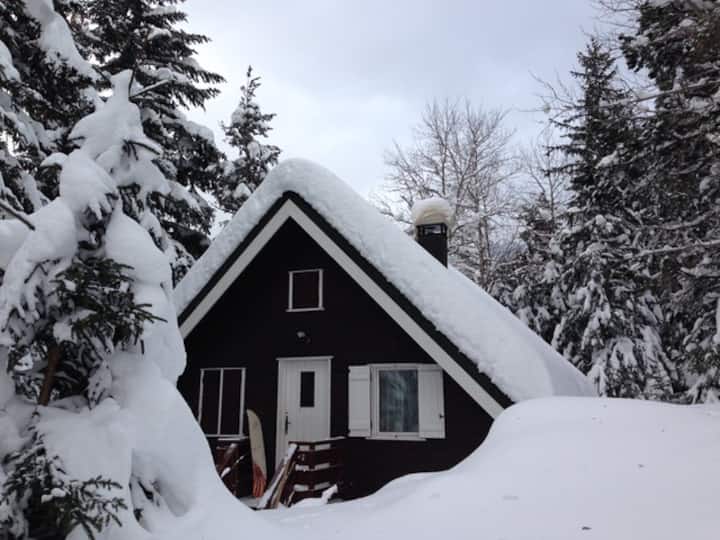Chalet Au Pied Des Pistes Dans La Forêt, Classé 3* - Corrençon-en-Vercors
