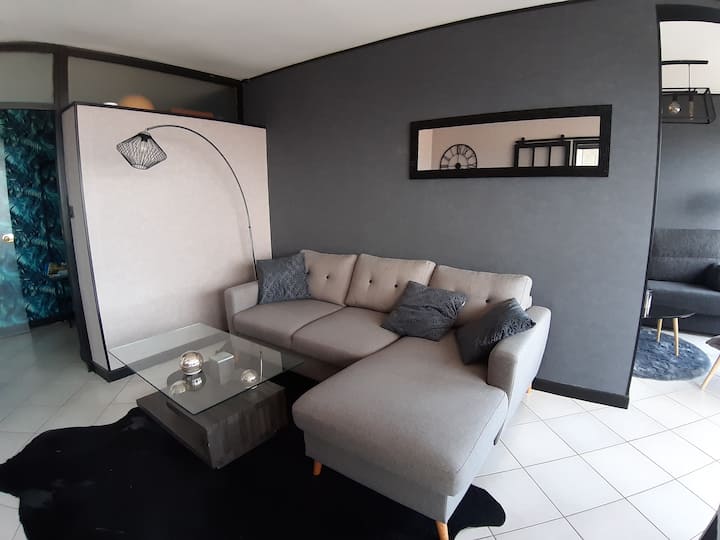 Appartement Du 11ème Ciel - Nancy