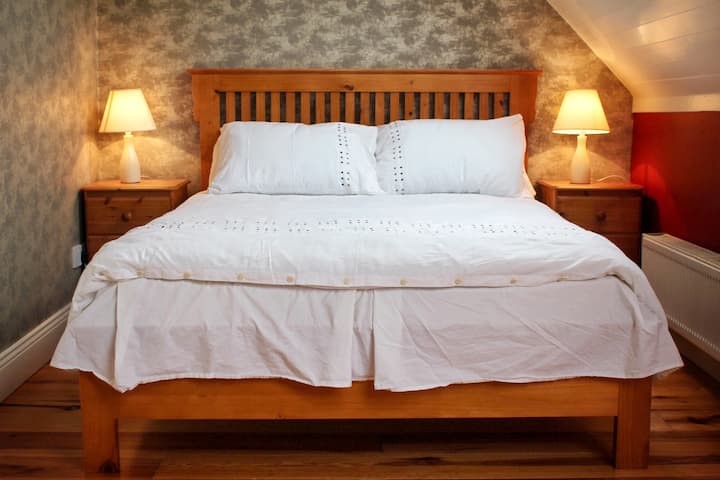 Galway City - Comfortable Loft Apartment. - Galway