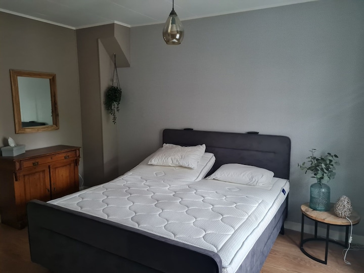 Haarlems Huis! Vlakbij De Stad&strand&amsterdam - Zandvoort