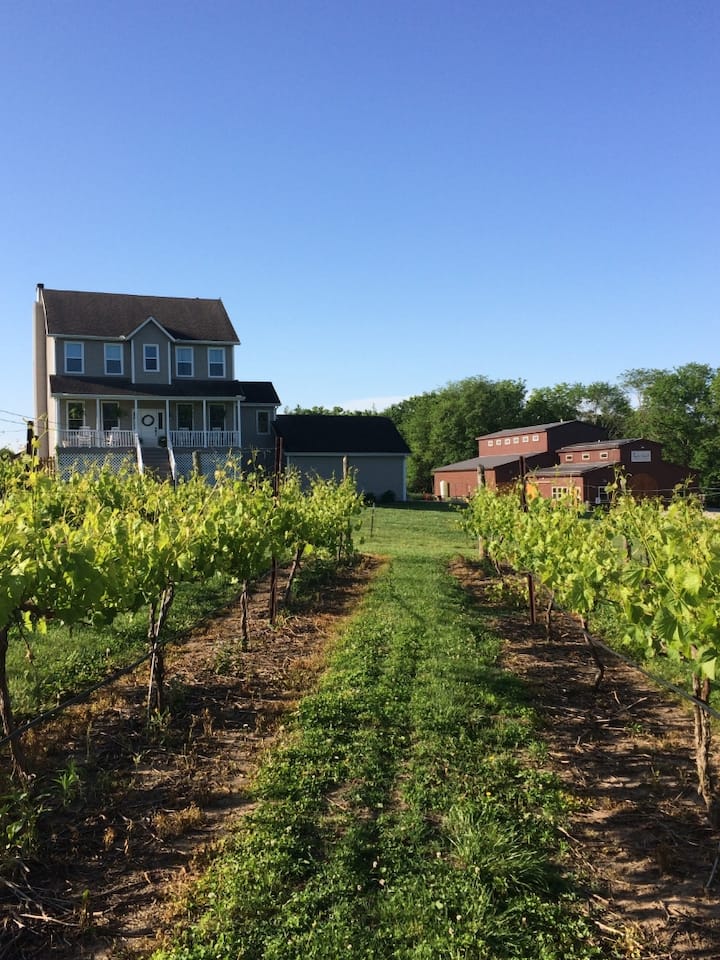 World Cup Wine Home On Vineyard And Winery - Weston Bend State Park, Weston