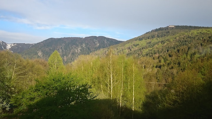 Appartement Près Des Montagnes - 멍스떼흐