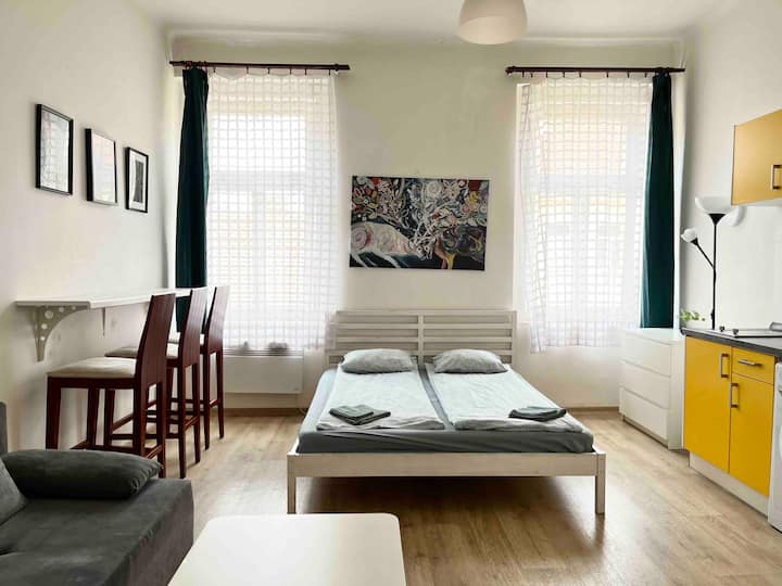 Adorable Apartment In The City Center! - Prague