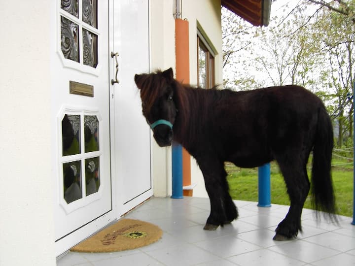 Ferienwohnung Hirsch Mit Panoramablick - Bad Rappenau
