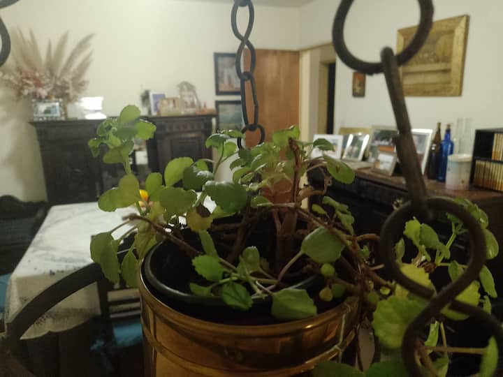 Cama En Habitación Compartida - Córdoba