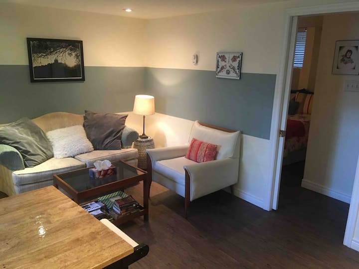 Private 1br Apt, Downtown St. Johns - St. John's